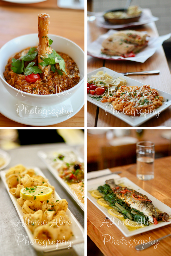 Photography Portfolio – Athena Alex